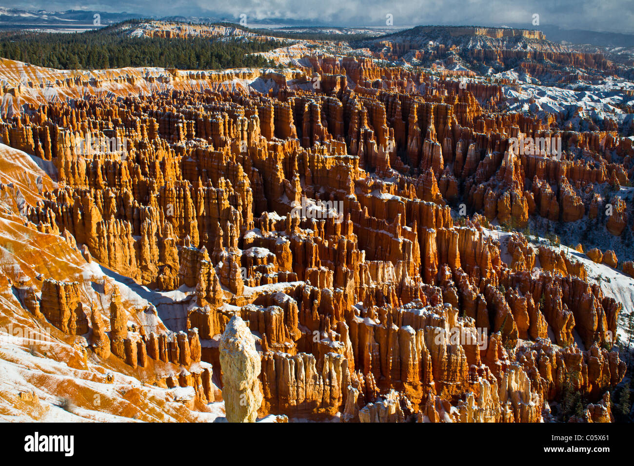 Image of the Amphitheater at Bryce National Park, just hours after it ...