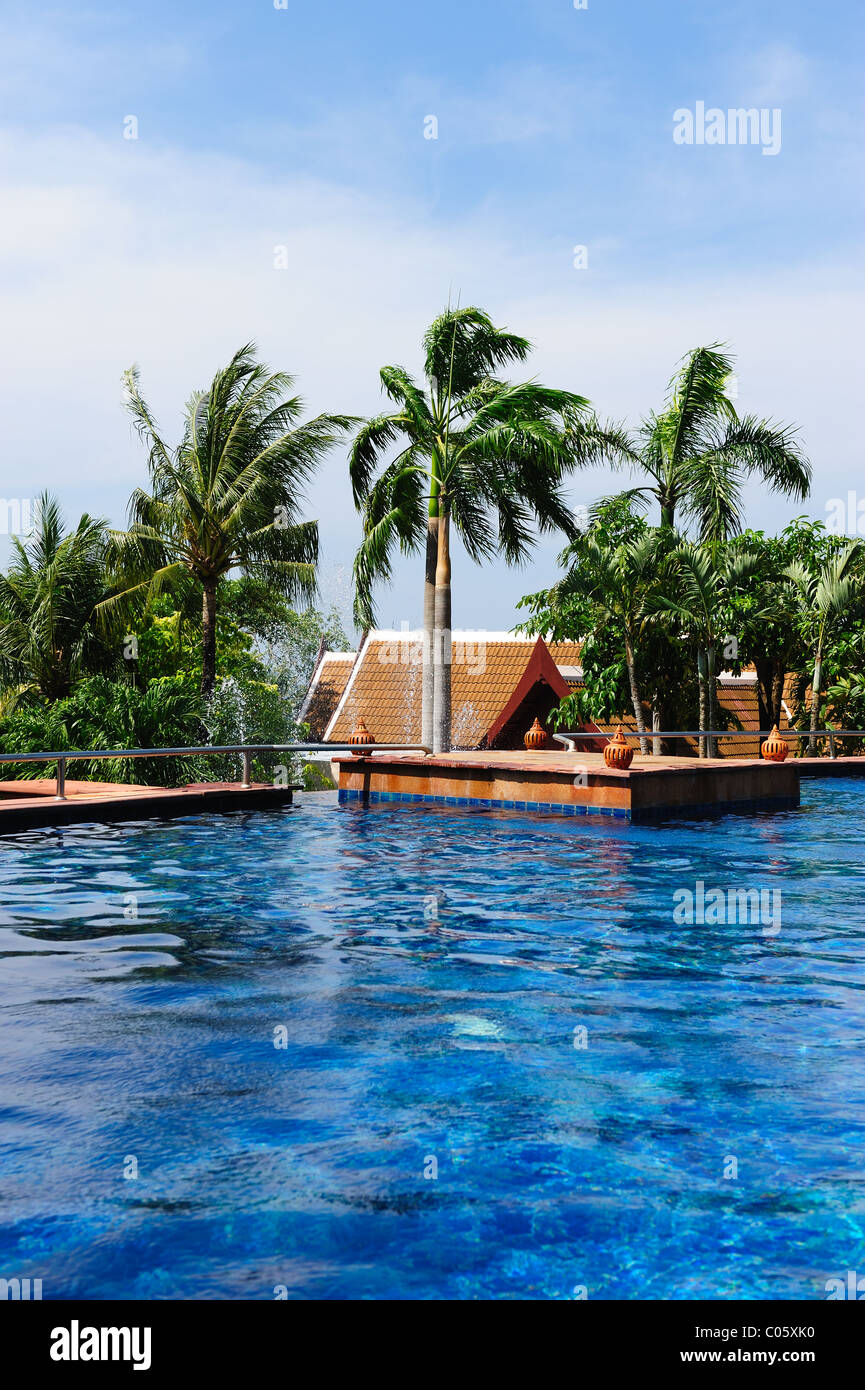 Swimming pool palm trees hi-res stock photography and images - Alamy