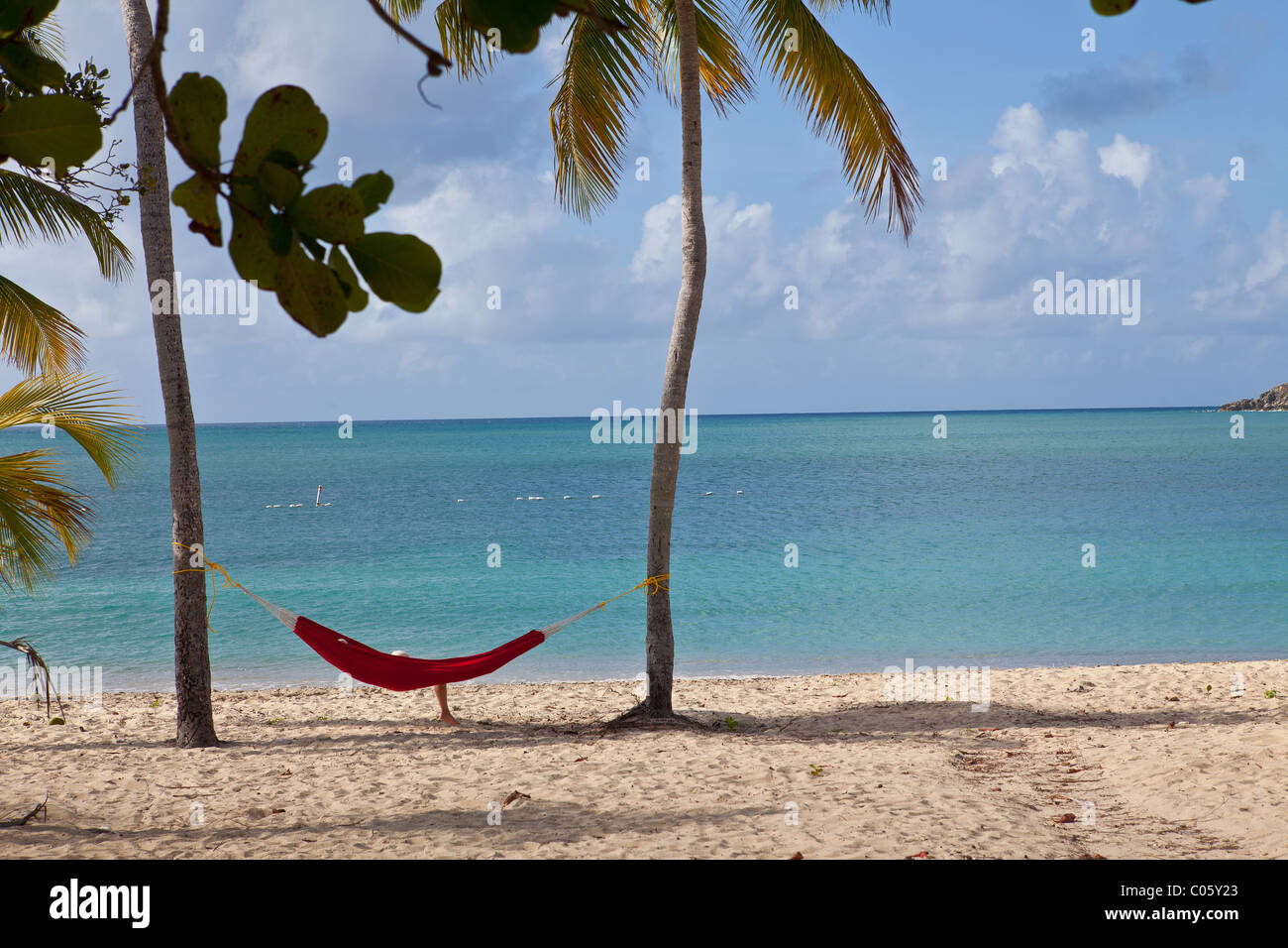 Hammock on coconut palms Sunbay beach in Vieques Island, Puerto Rico ...