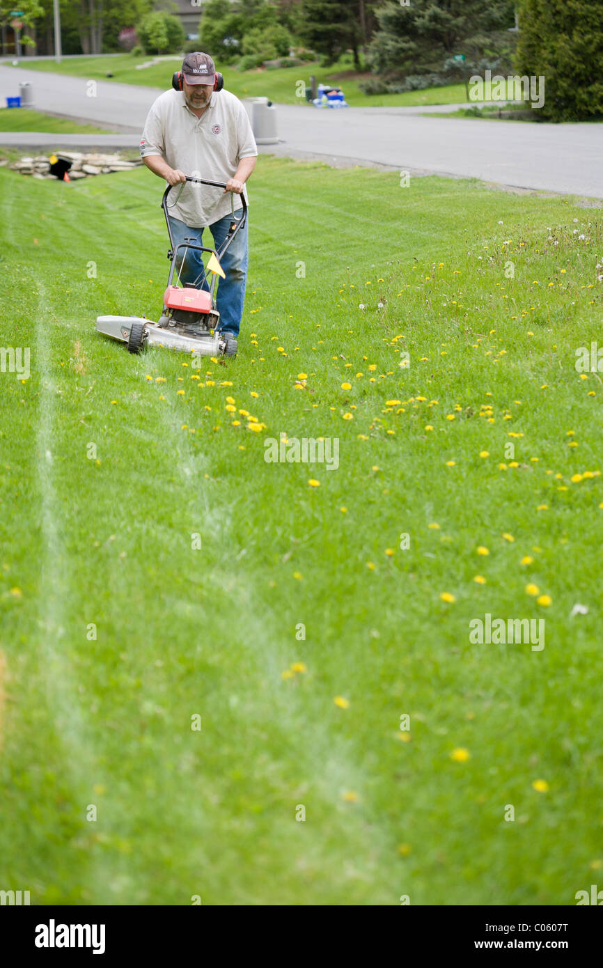 Spring Grass cutting vertical. A man mows his lush green grass with a ...