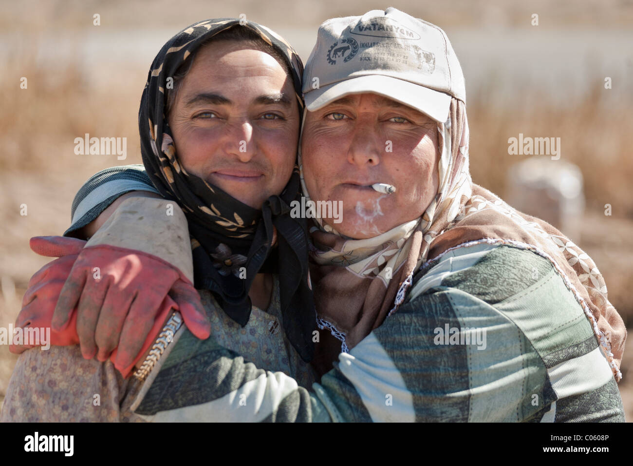 Potato pickers hi-res stock photography and images - Alamy