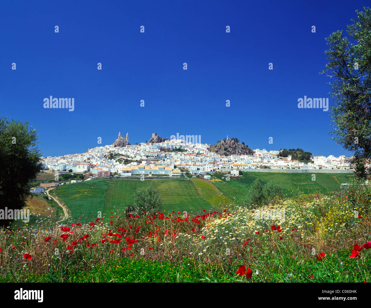 Spain, Andalucia, Olvera Stock Photo - Alamy