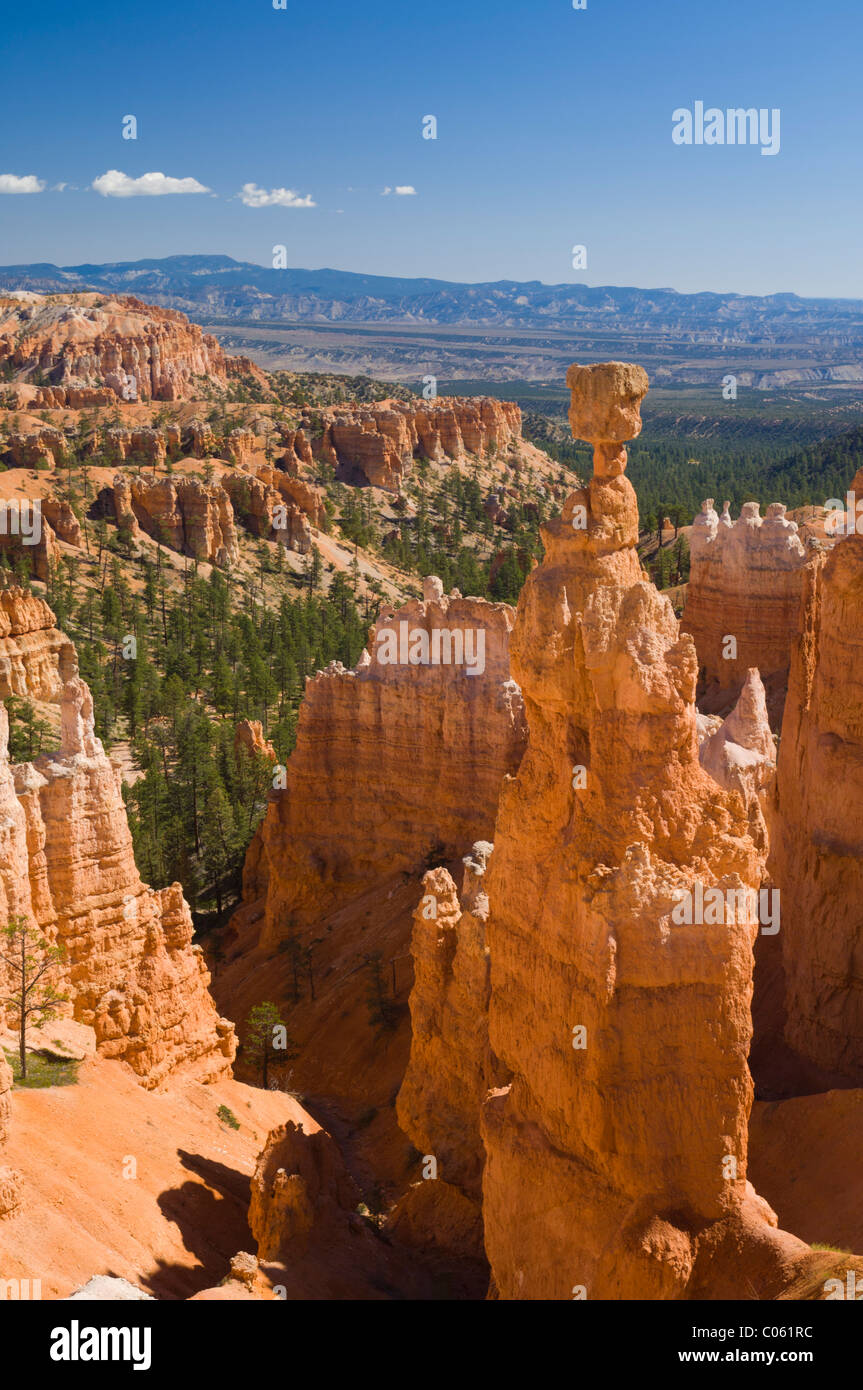 sandstone hoodoo's and iconic "Thor's hammer" in Bryce canyon national ...