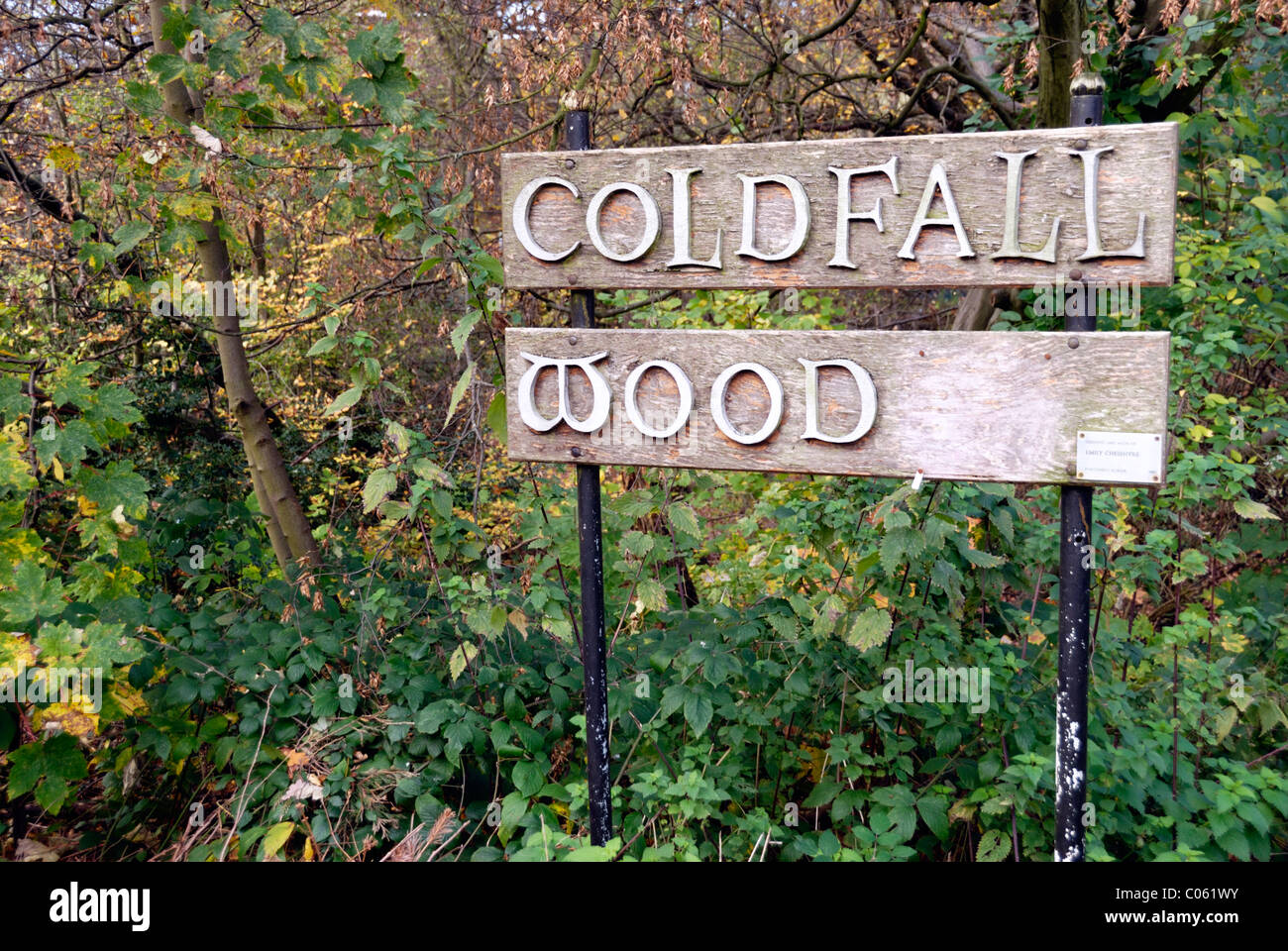 Coldfall Wood, Muswell Hill, London, England Stock Photo - Alamy