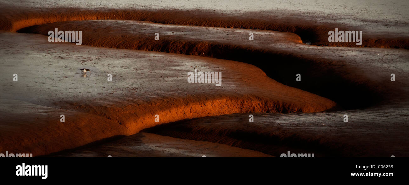 Channels in the beach sand Stock Photo - Alamy