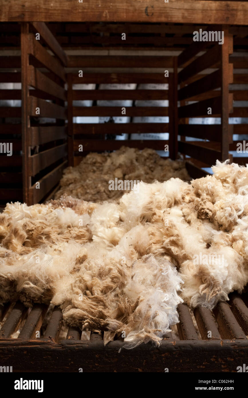 Sheep Shearing Table High Resolution Stock Photography and Images - Alamy