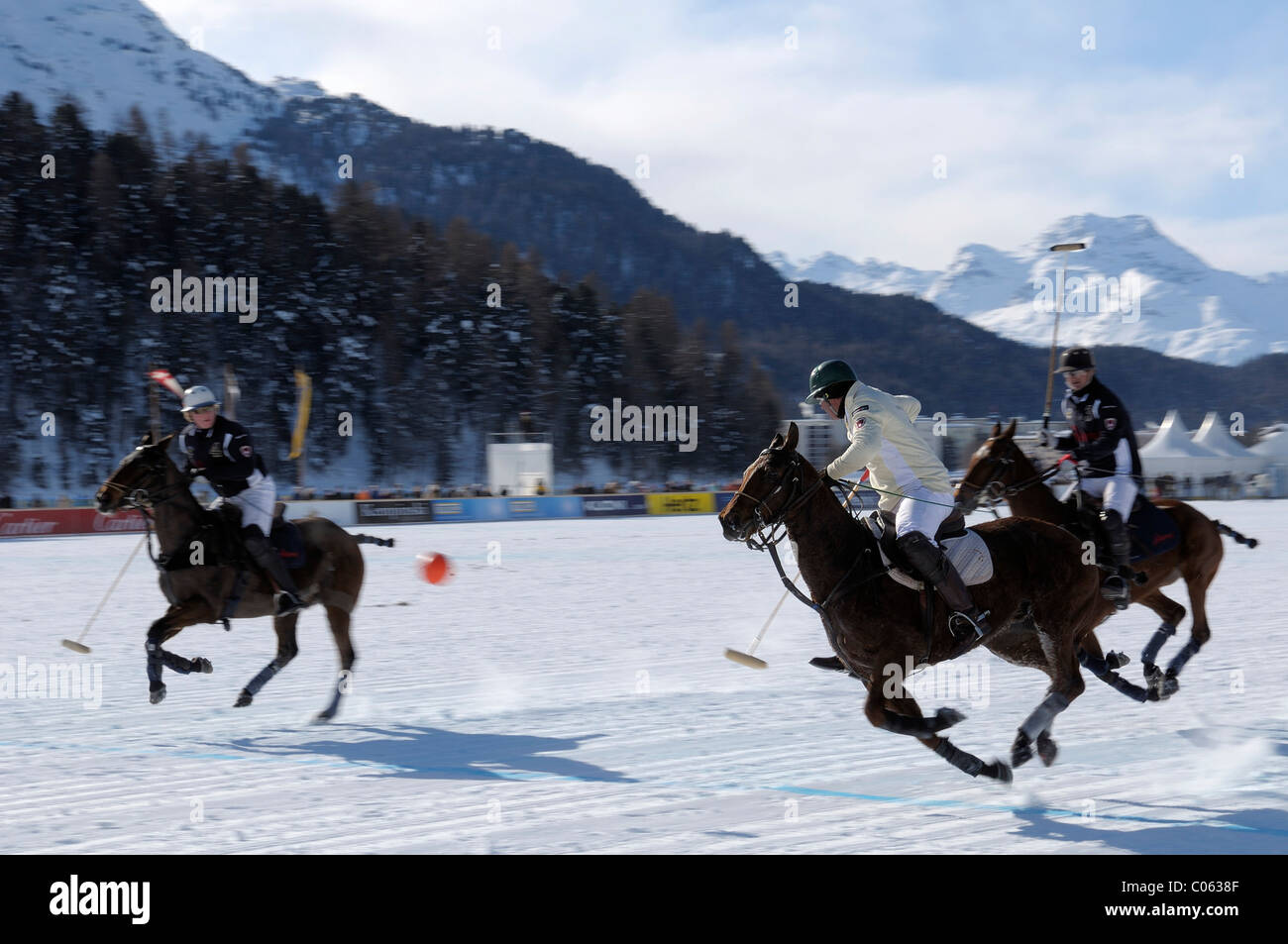 Team chasing, horses hi-res stock photography and images - Alamy