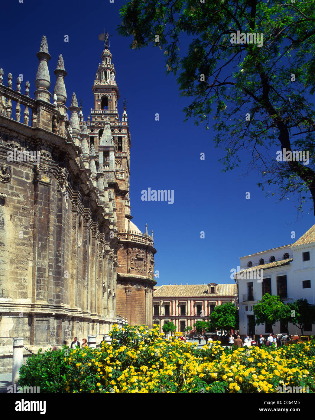 Spain, Seville view of cathedral with spring flowers in foreground ...