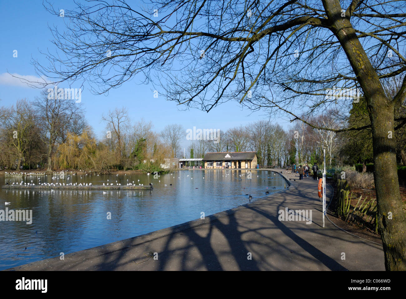 Alexandra Park boating lake, London, England Stock Photo - Alamy