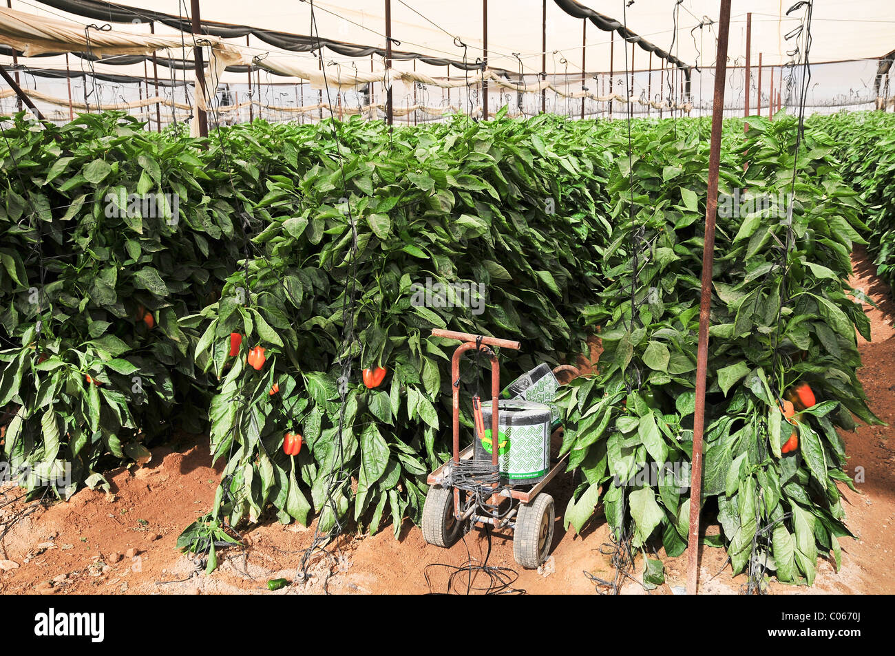 Farms farm hi-res stock photography and images - Alamy