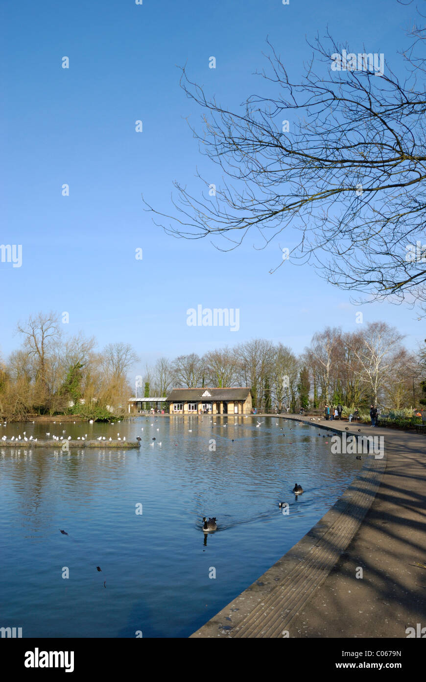 Alexandra Park boating lake, London, England Stock Photo - Alamy