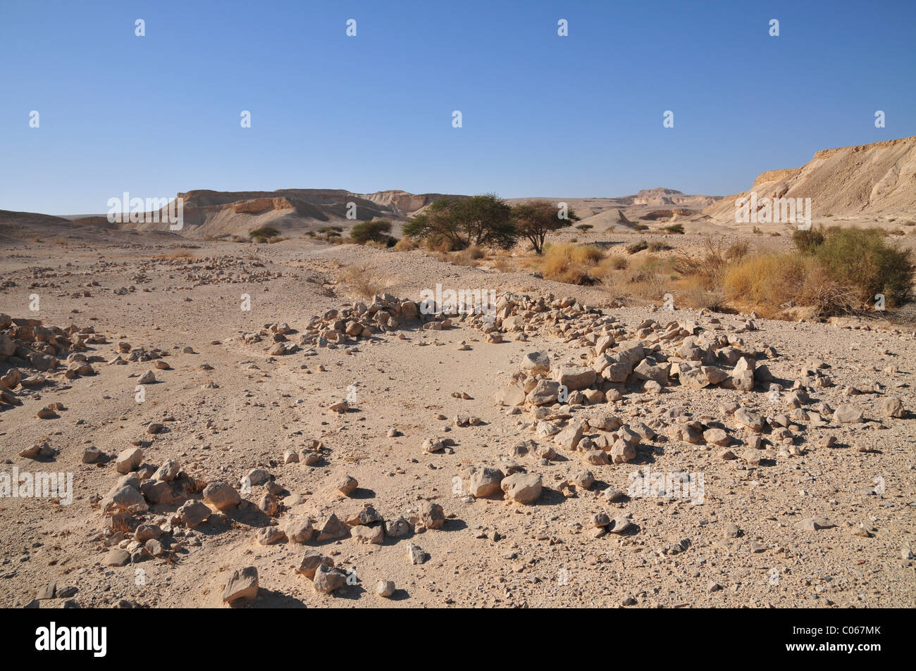 Arava desert hi-res stock photography and images - Alamy
