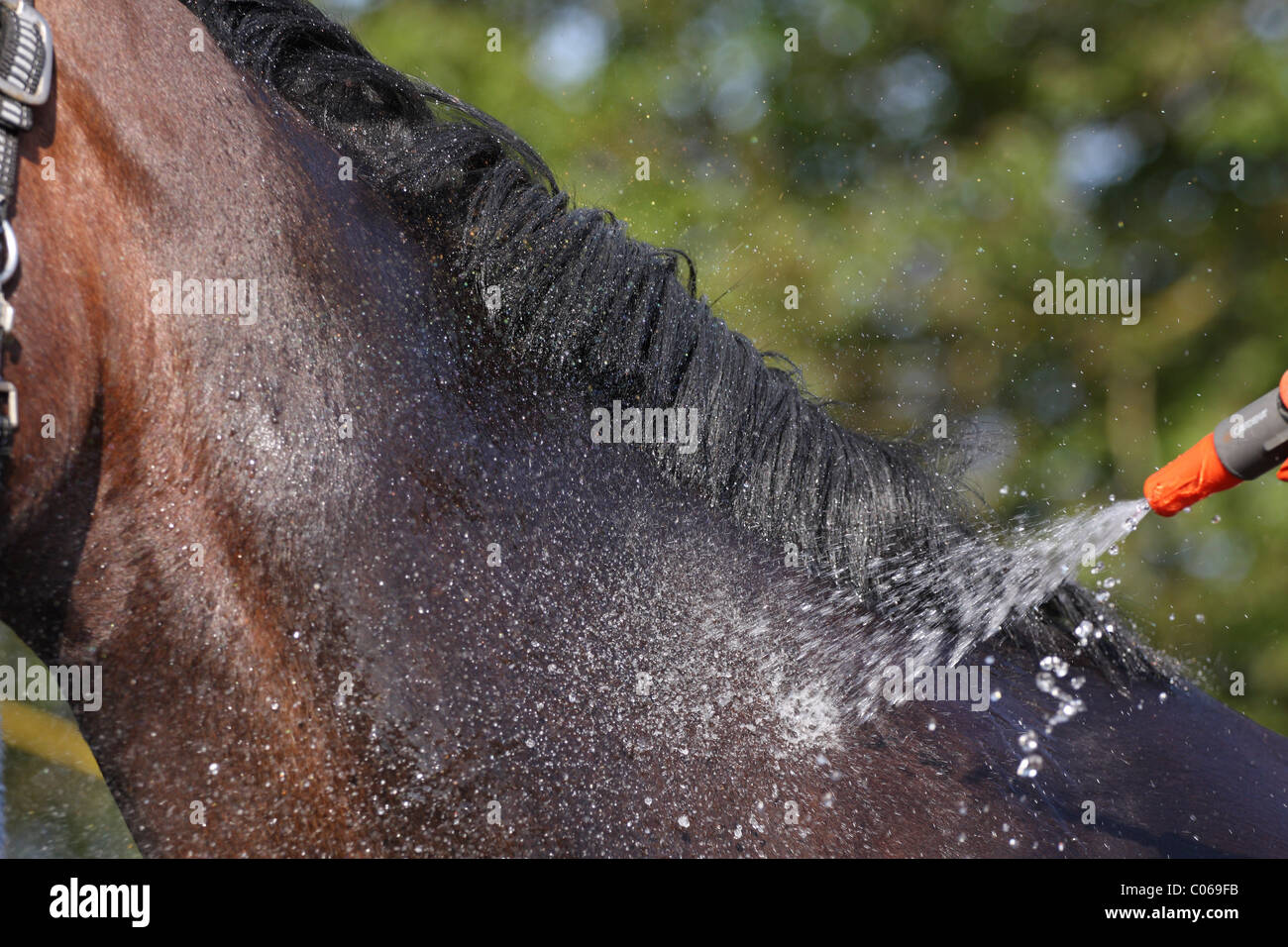 Summertime showers hi-res stock photography and images - Alamy