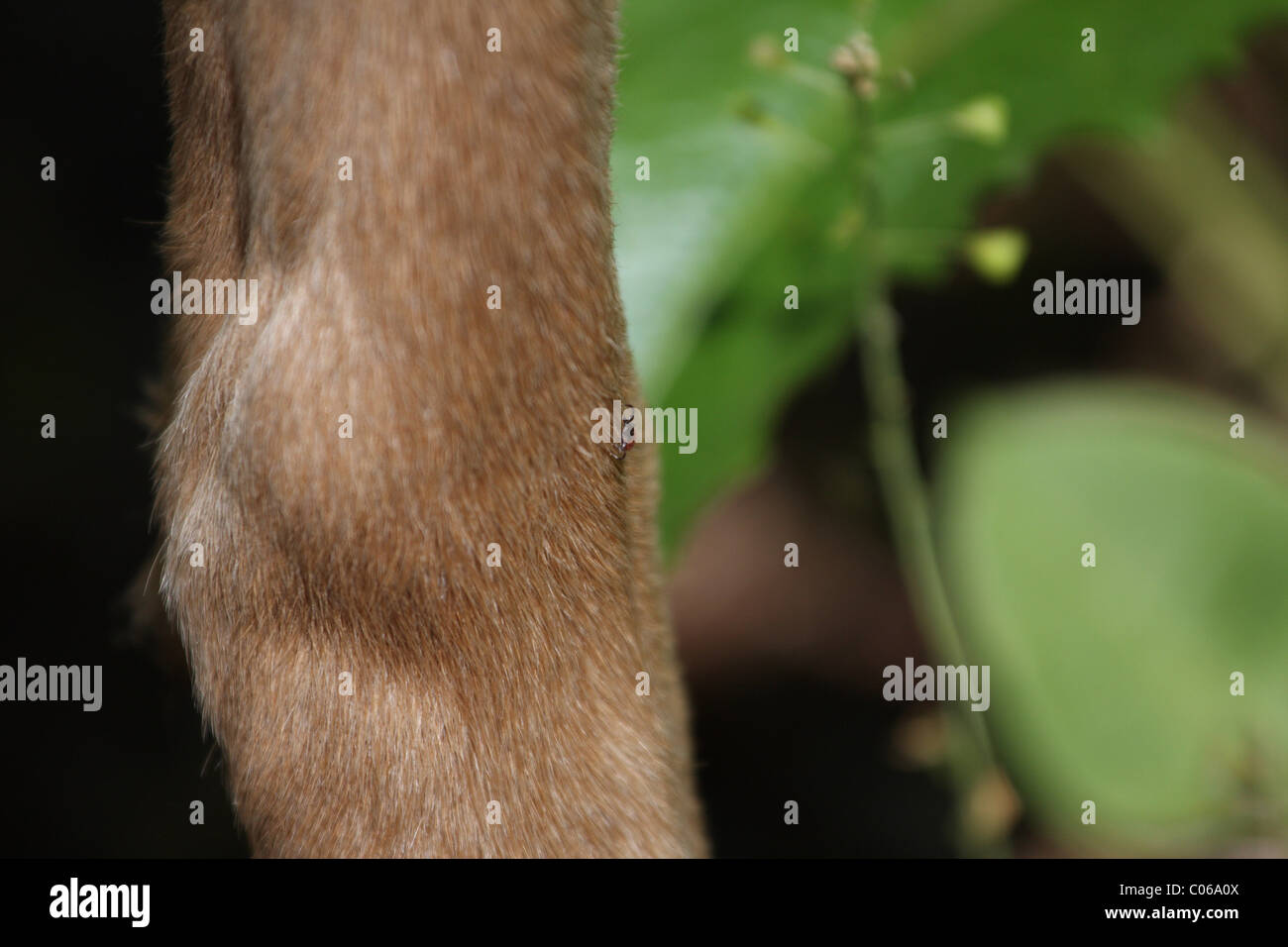 Tick grey hi-res stock photography and images - Alamy