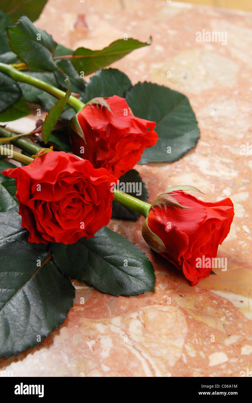three red roses Stock Photo - Alamy