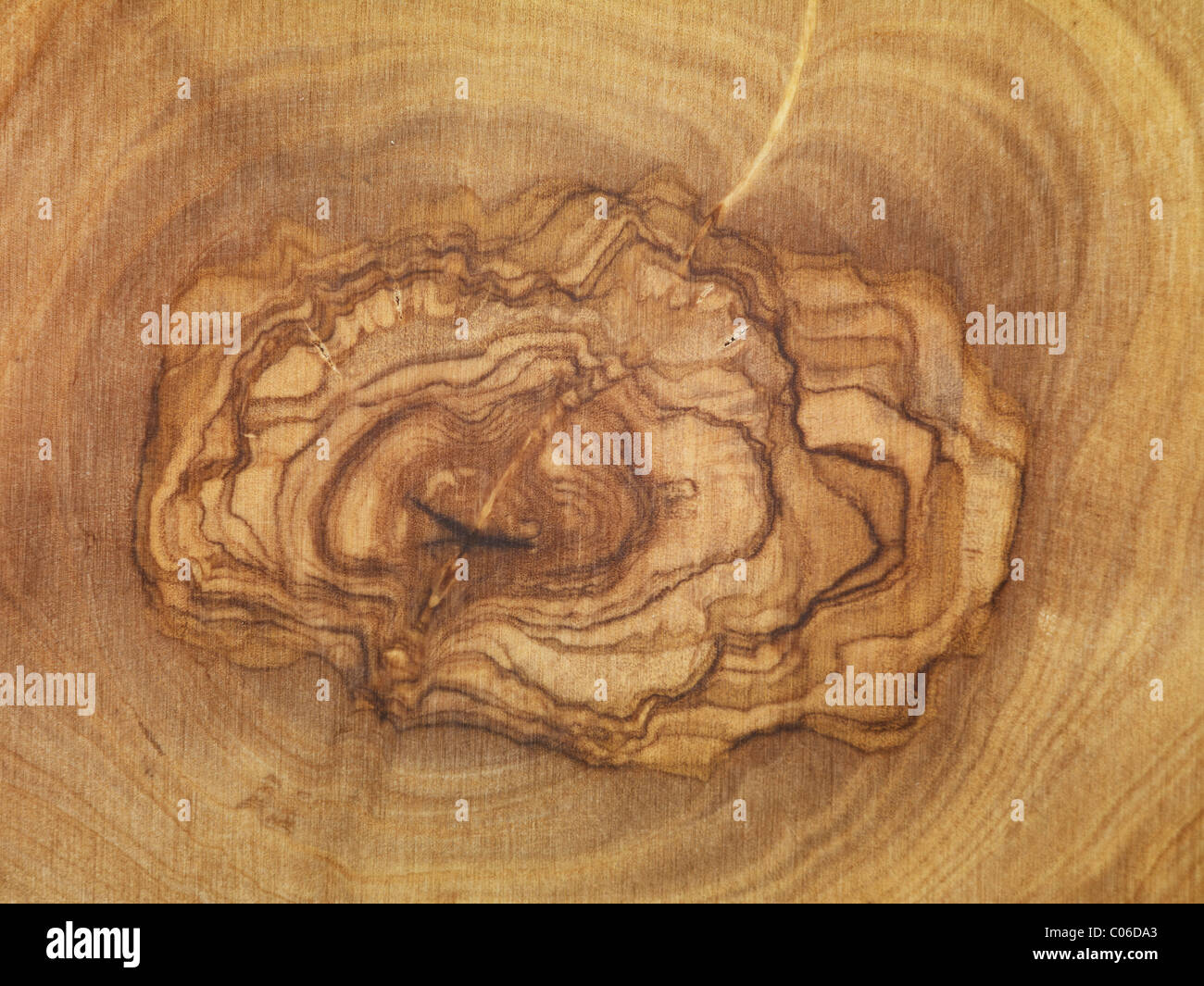 wood grain close up Stock Photo - Alamy