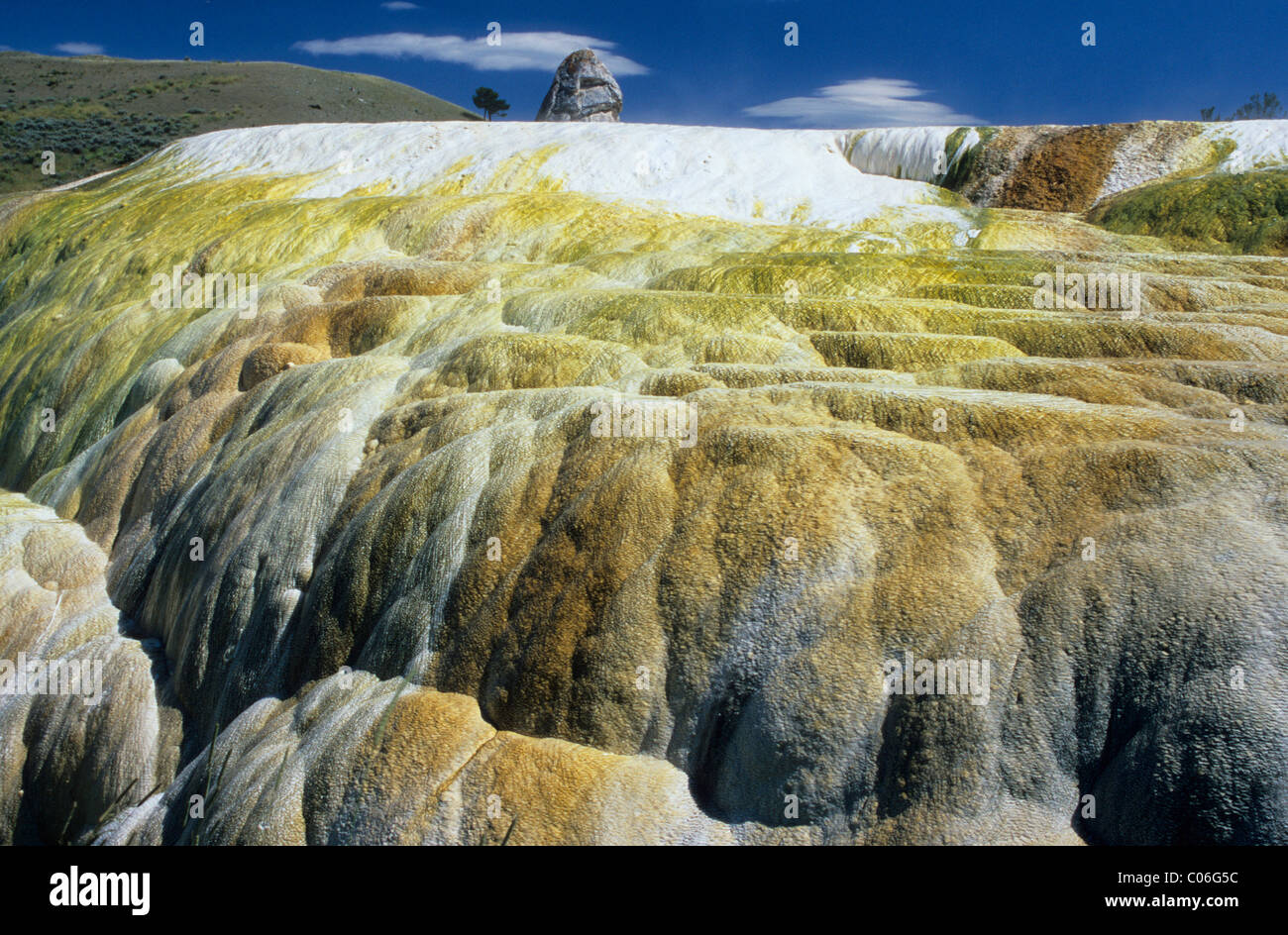 Hymen hi-res stock photography and images - Alamy