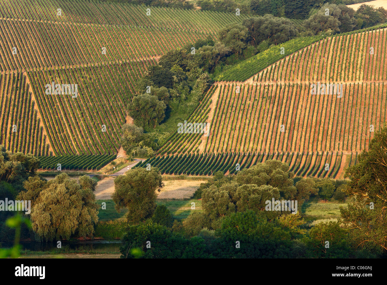 Volkach the main hi-res stock photography and images - Alamy