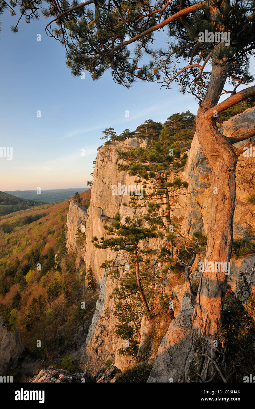 Mountain faces hi-res stock photography and images - Alamy