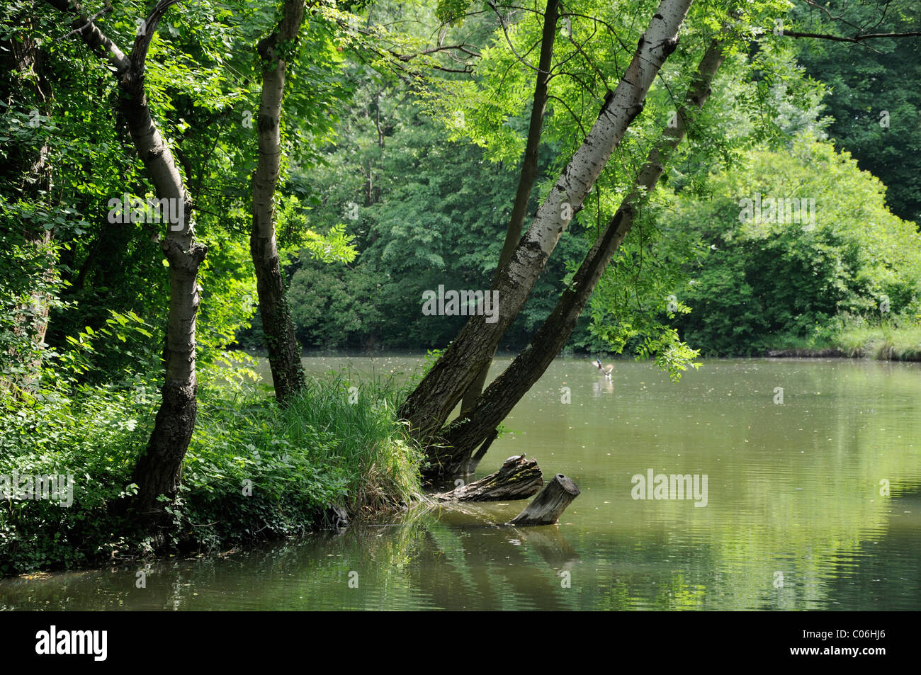 Lower ponds hi-res stock photography and images - Alamy