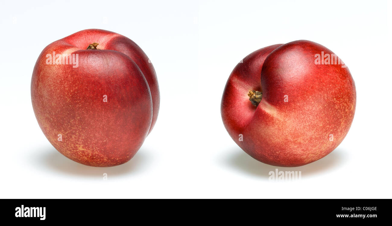 Fresh nectarine fruit prunus persica hi-res stock photography and ...