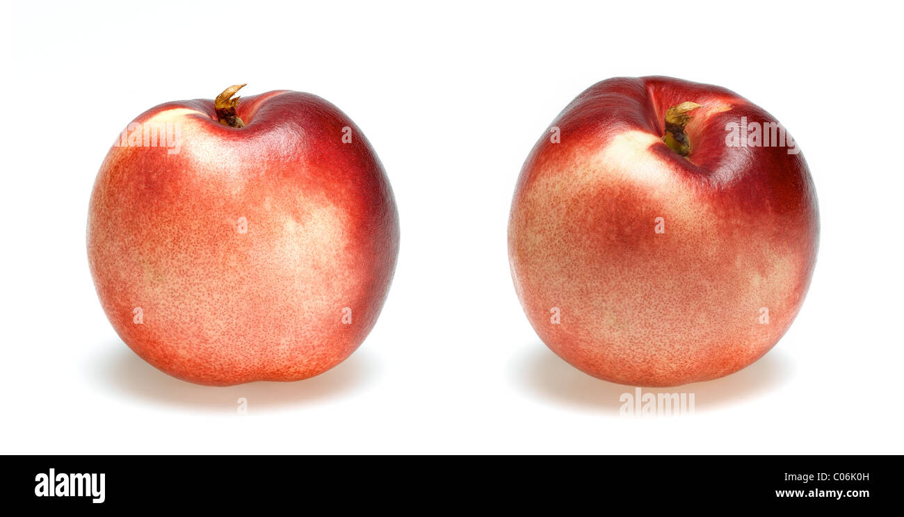 Fresh nectarine fruit prunus persica hi-res stock photography and ...