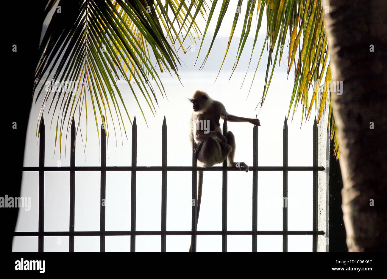 Sri lanka walawe river hi-res stock photography and images - Alamy