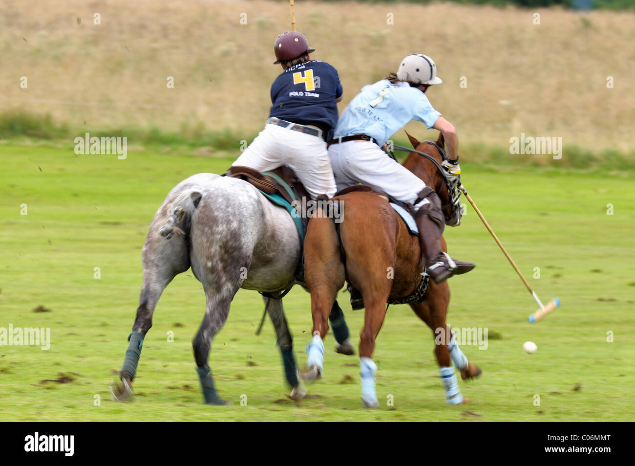 Polo players battling for the ball, polo, polo players, polo tournament ...