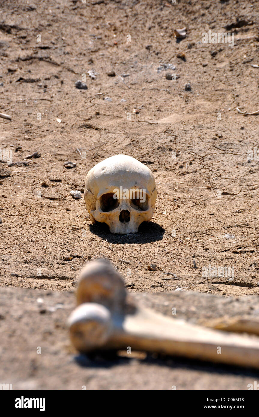 Burial bones hi-res stock photography and images - Alamy