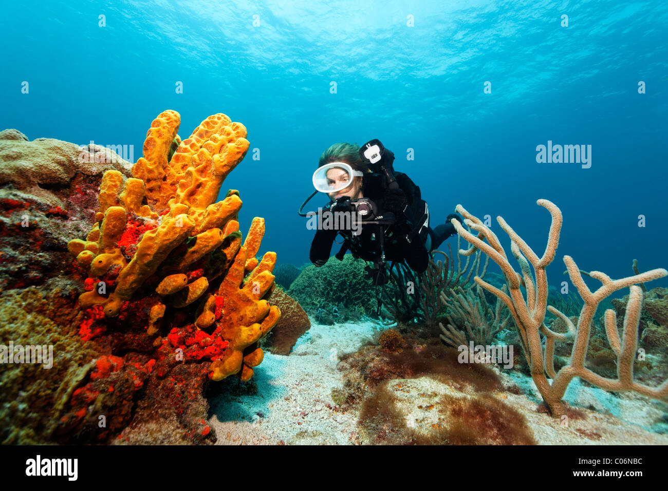 Scub diver with an underwater camera, underwater photographer ...