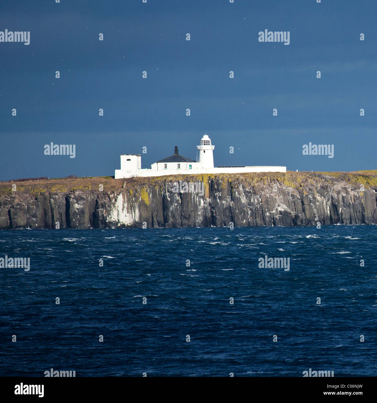 Farnes islands hi-res stock photography and images - Alamy