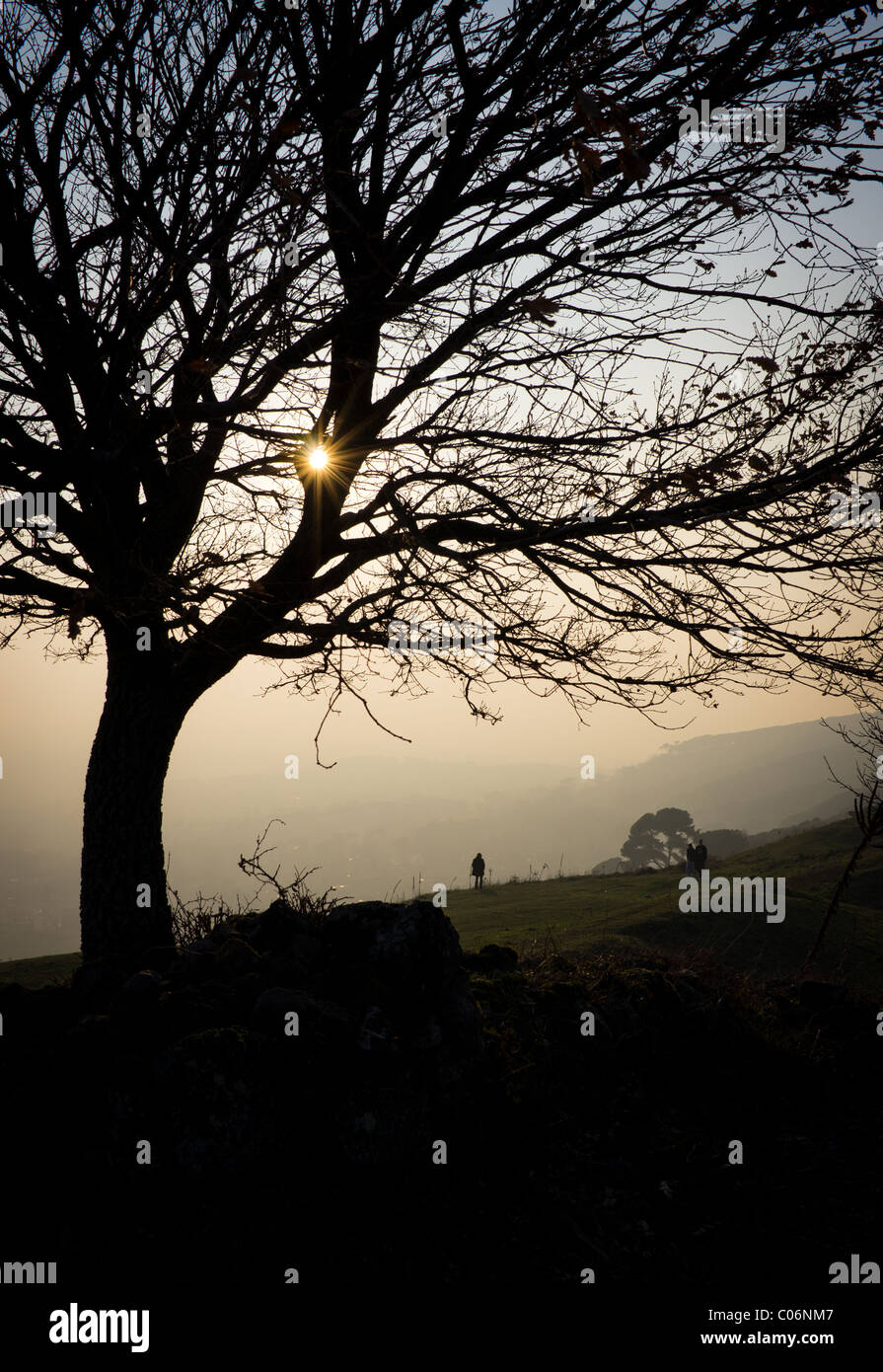 Lonely man watching the view on a hill Stock Photo - Alamy