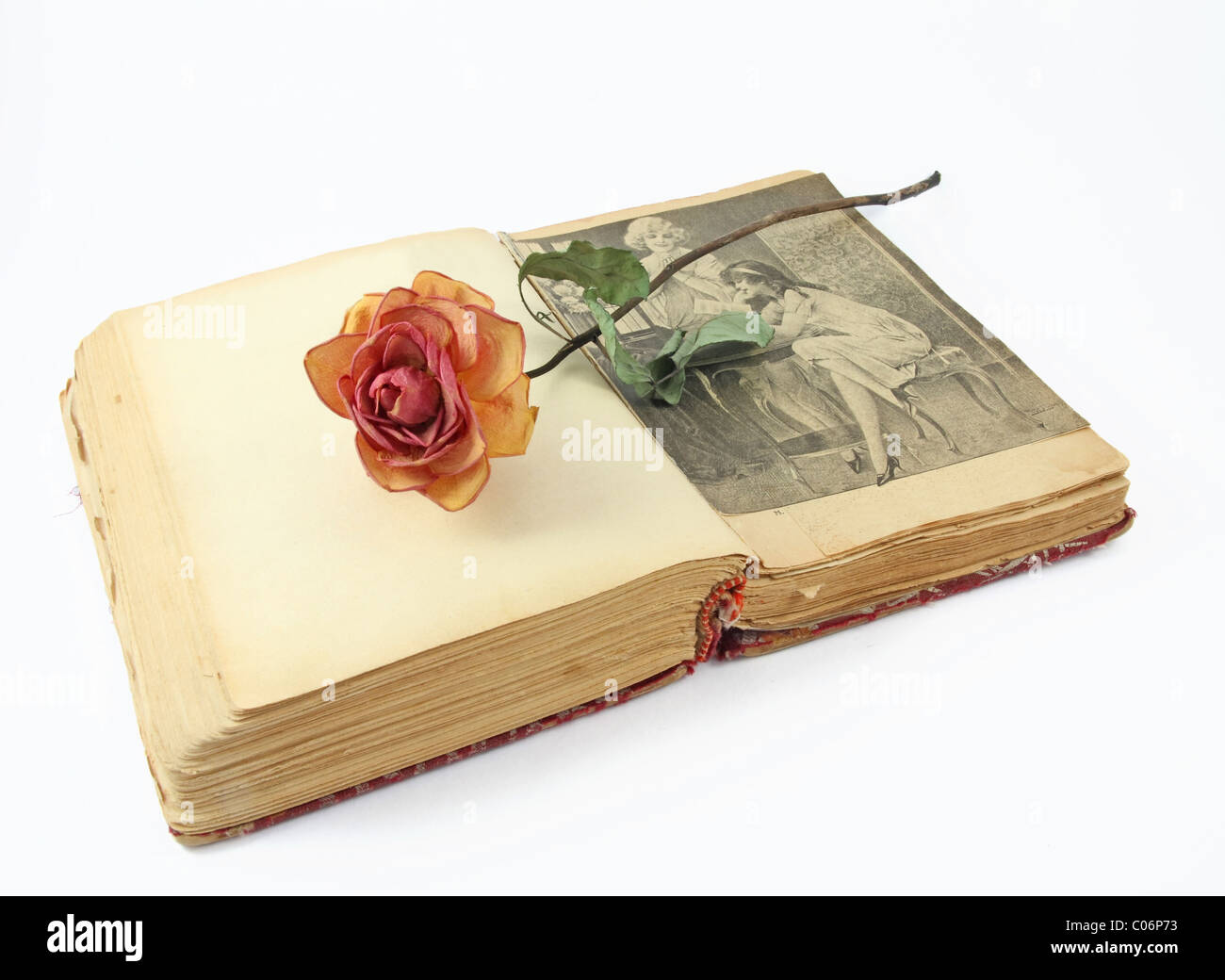 Dried rose flower book Cut Out Stock Images & Pictures - Alamy