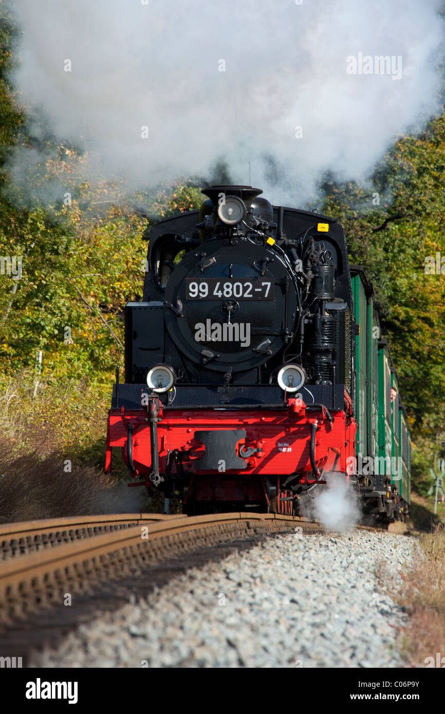 The steam train Rasender Roland / Rushing Roland, Ruegen island ...