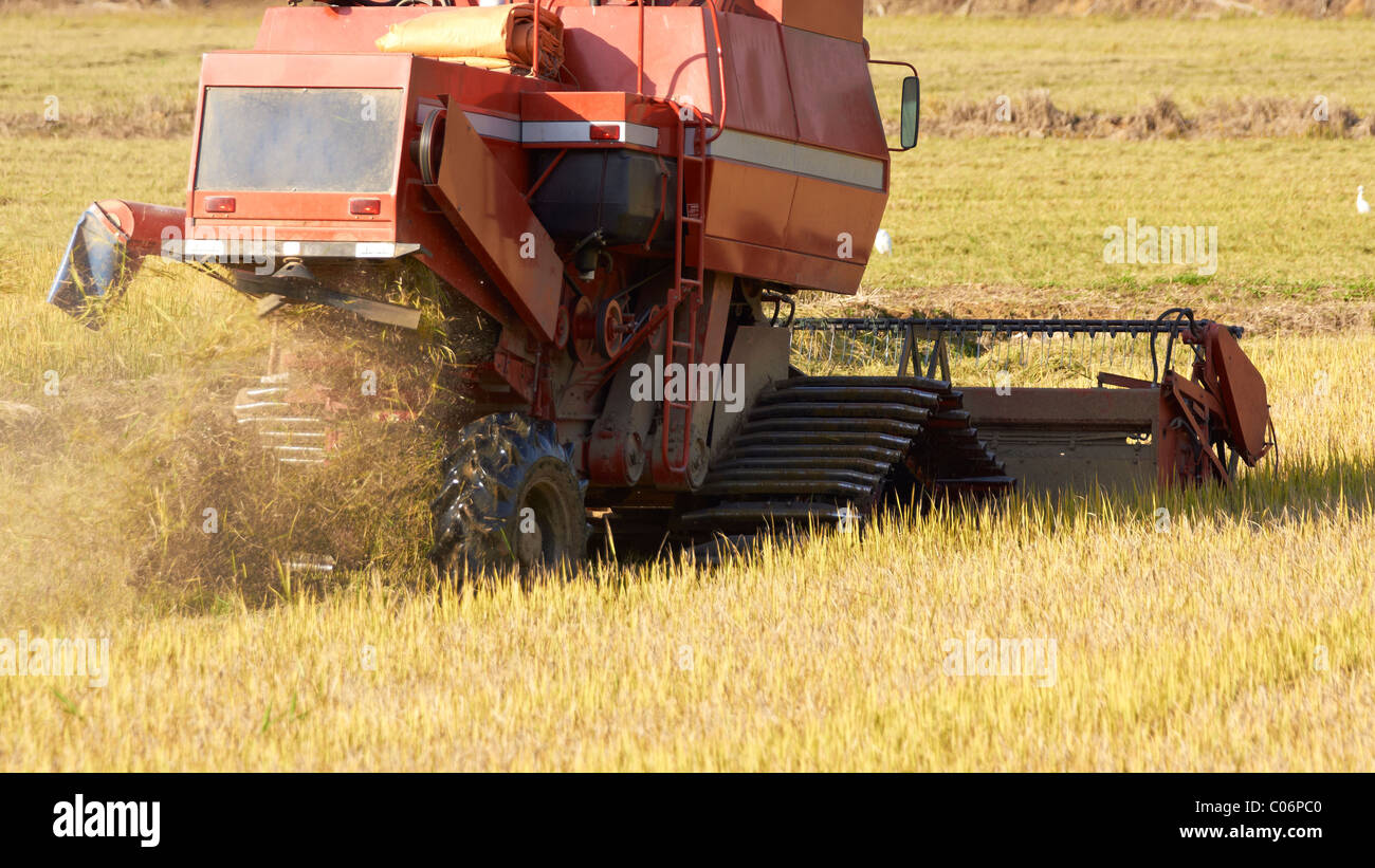 Rice farming brazil hi-res stock photography and images - Alamy