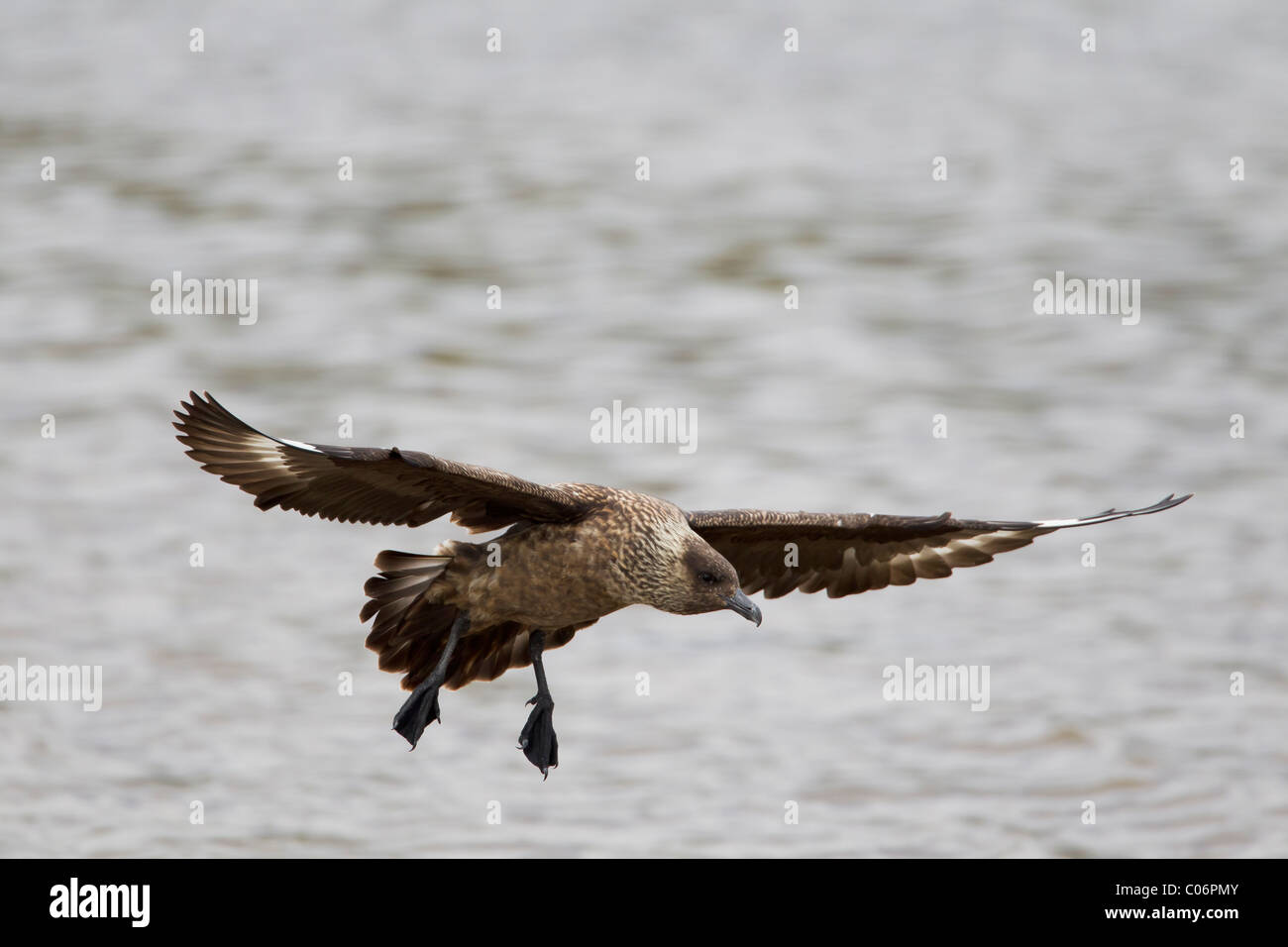Flight over water hi-res stock photography and images - Alamy