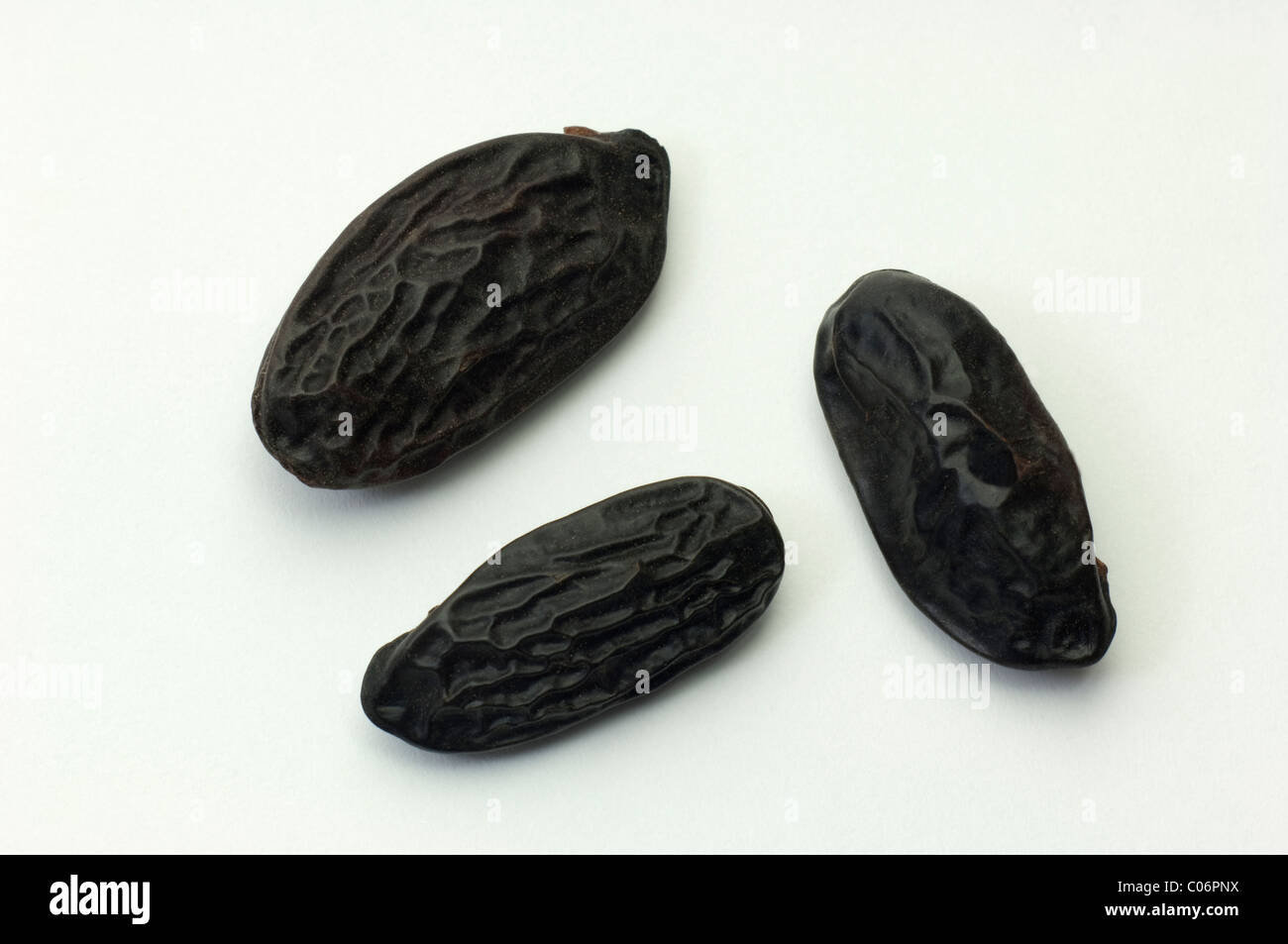 Tonka Beans, the seeds of the Brazilian Teak (Dipteryx odorata). Studio ...