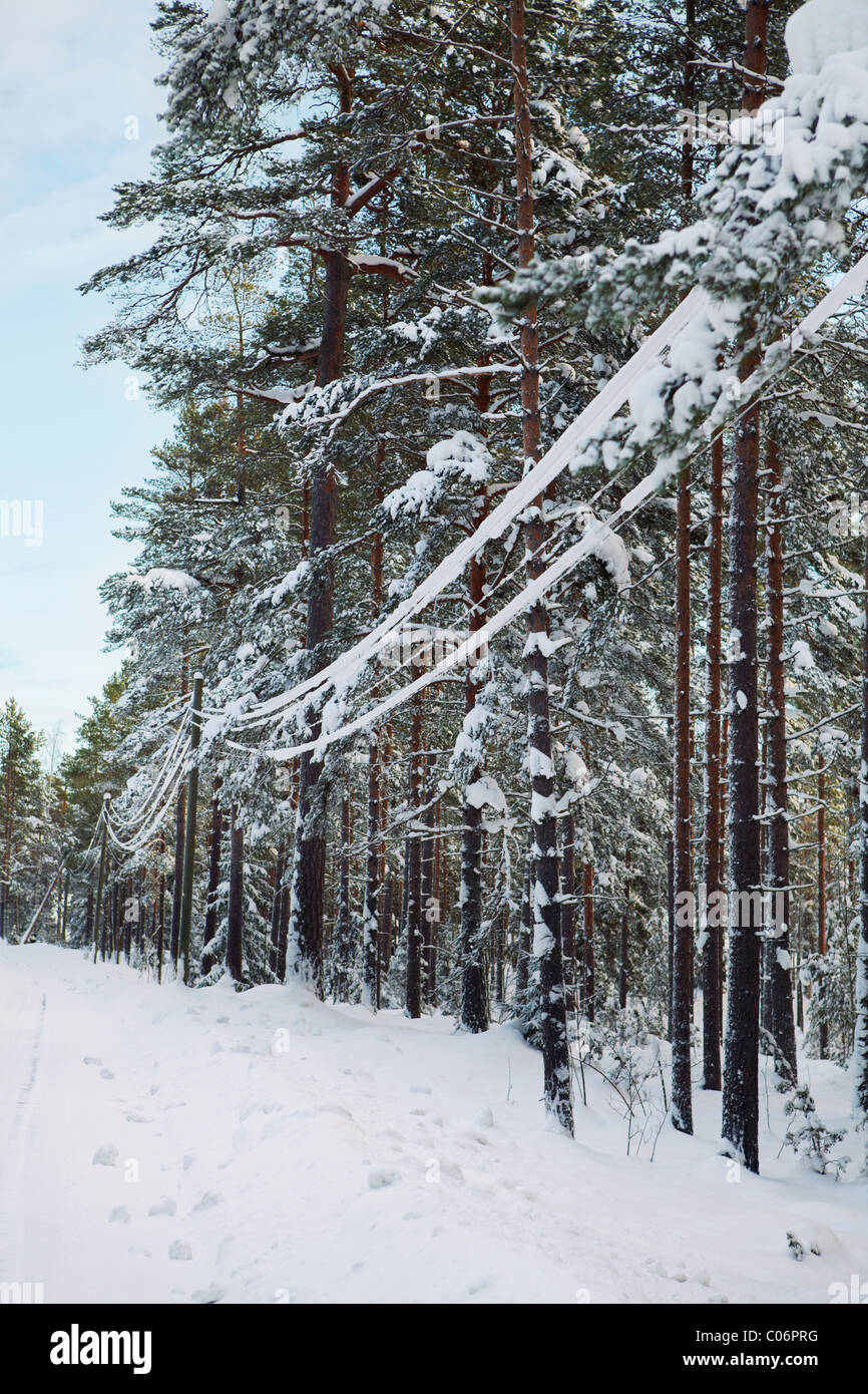 Sweden in Snow Stock Photo - Alamy