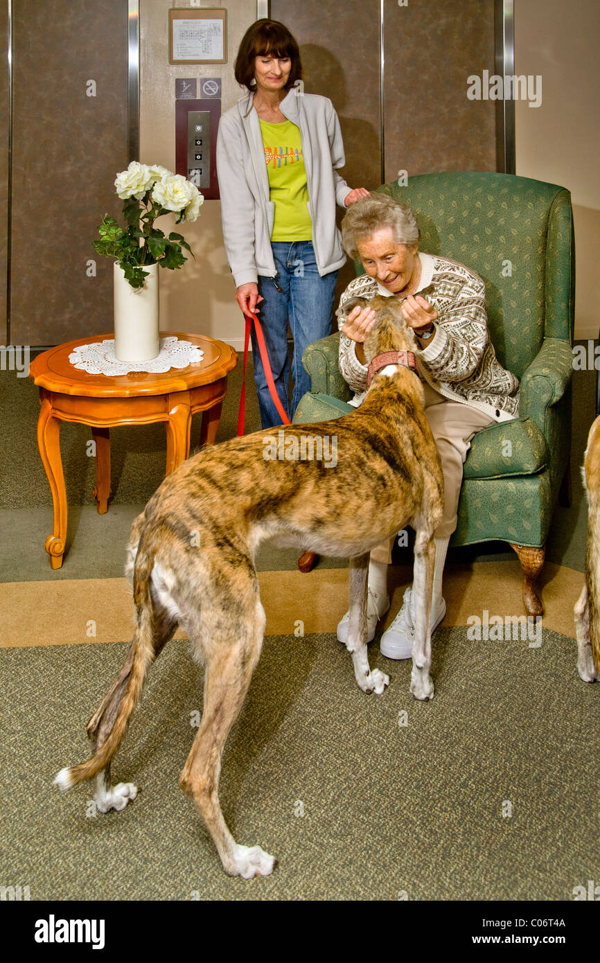 Senior 90 year old woman hi-res stock photography and images - Alamy