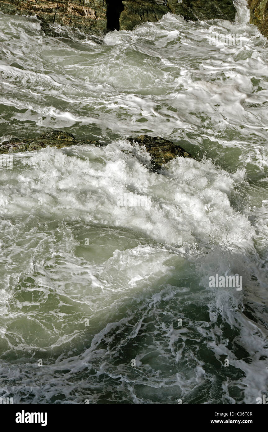 Mousetrap zawn hi-res stock photography and images - Alamy