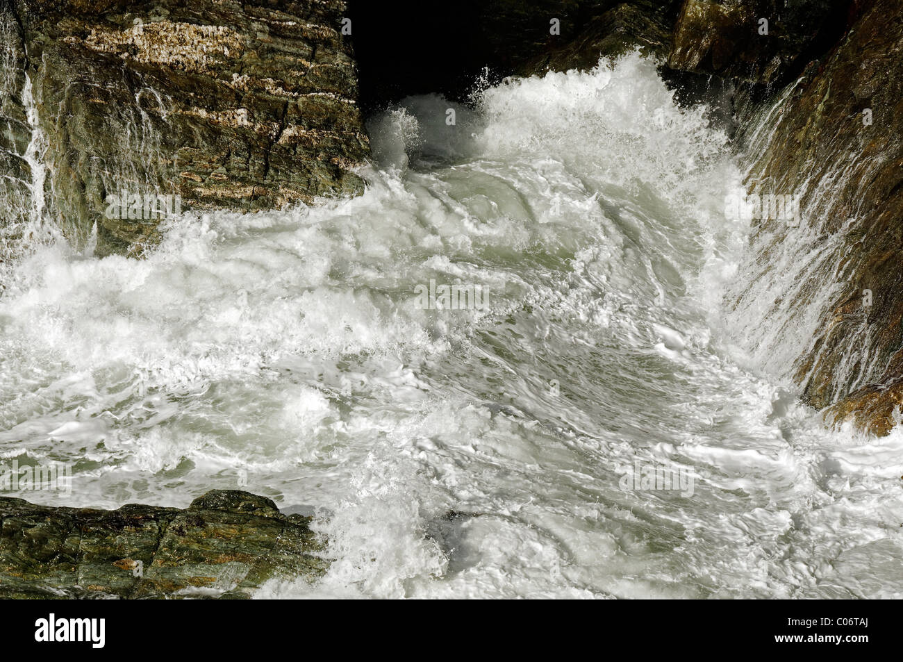 Mousetrap zawn hi-res stock photography and images - Alamy