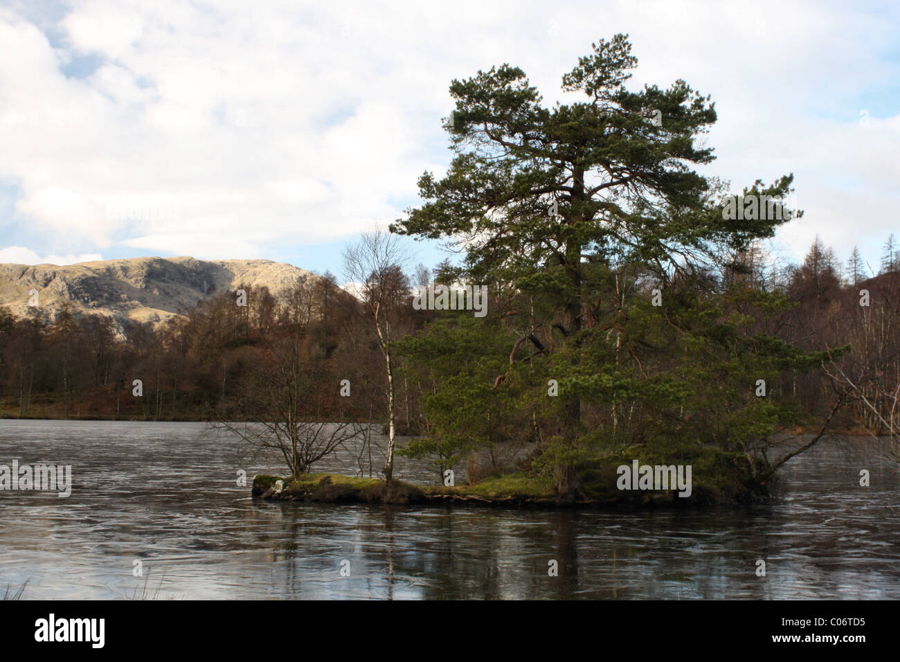 Frozen water at Tarn Hows and view of Old Man Coniston Lake District ...