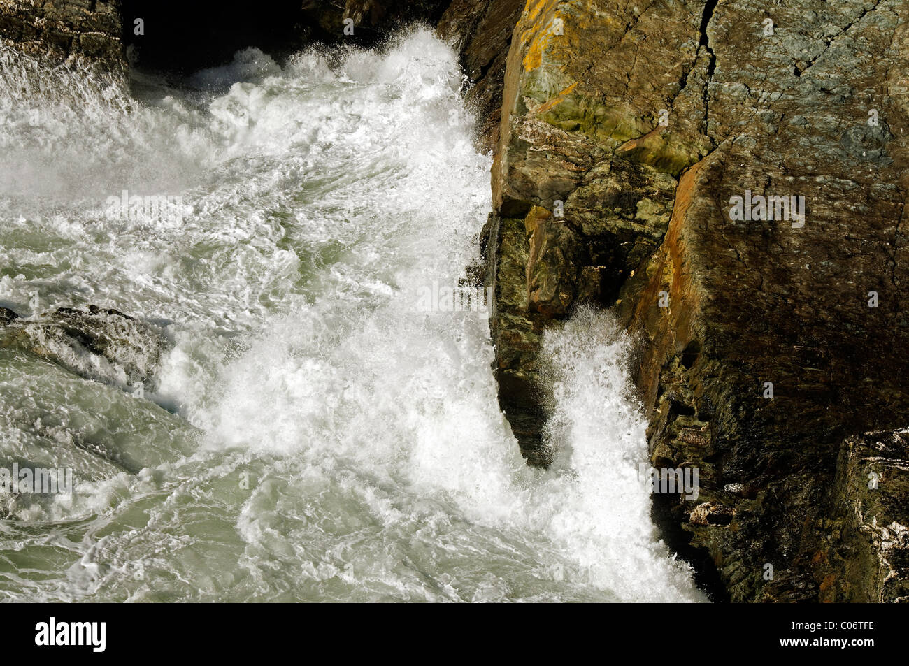 Mousetrap zawn hi-res stock photography and images - Alamy