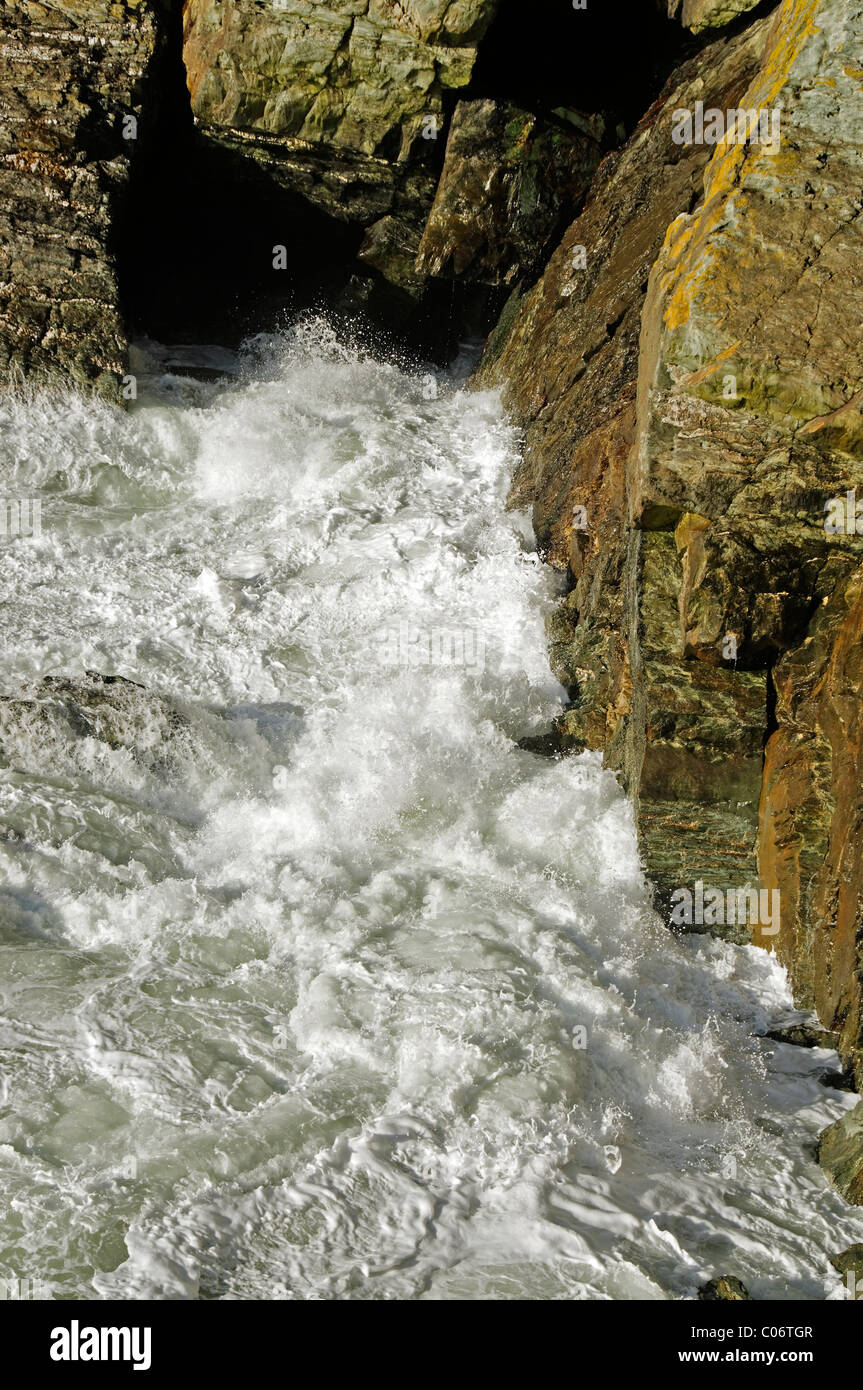 Mousetrap zawn hi-res stock photography and images - Alamy