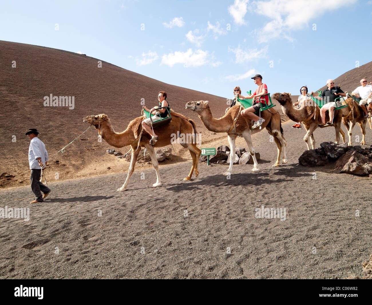 A camel driver leading a camel train with tourists visiting the ...