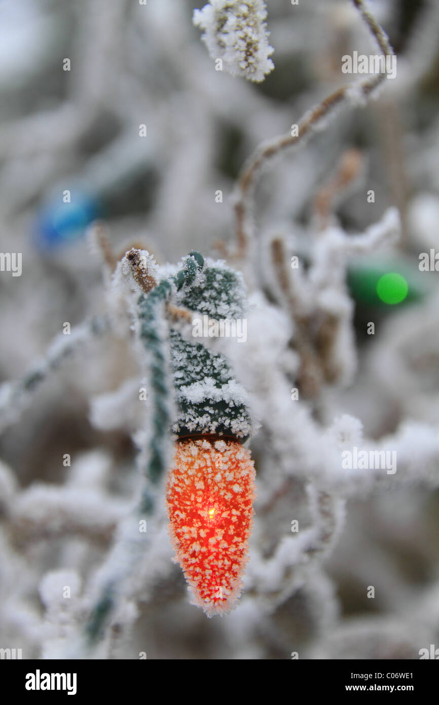 Outdoor fairy lights hi-res stock photography and images - Alamy