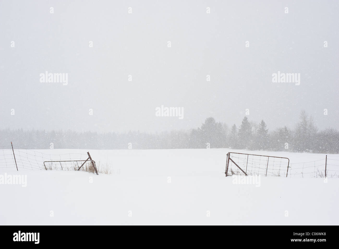 Snow fence farm winter tree snow hi-res stock photography and images ...