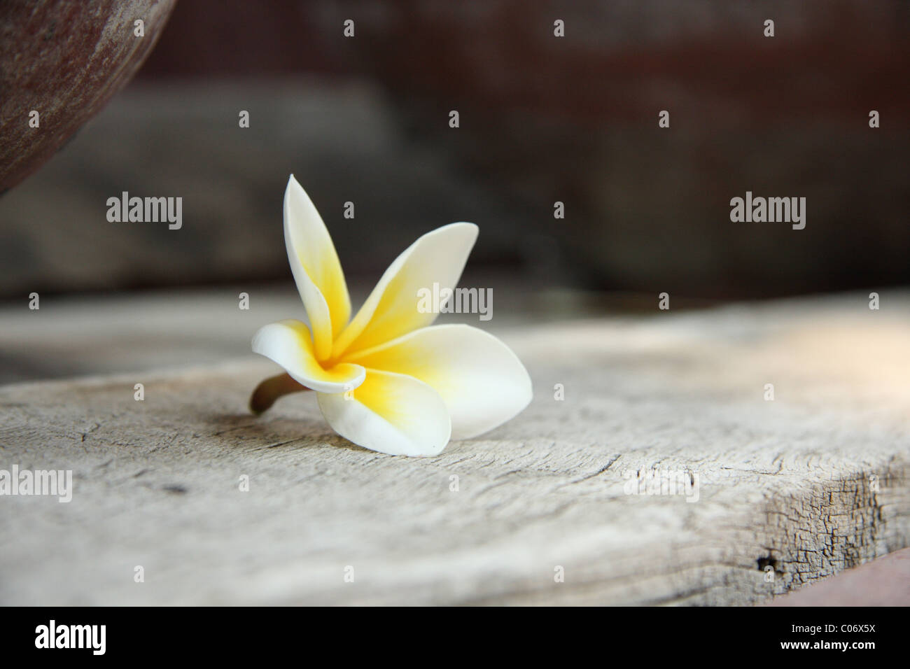 Flower in a temple Stock Photo - Alamy