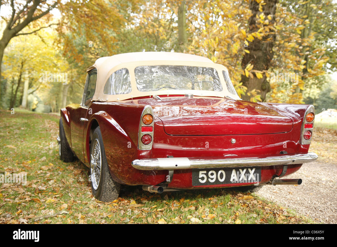 Daimler Vintage Car on a private drive way amongst the Autumn leaves ...
