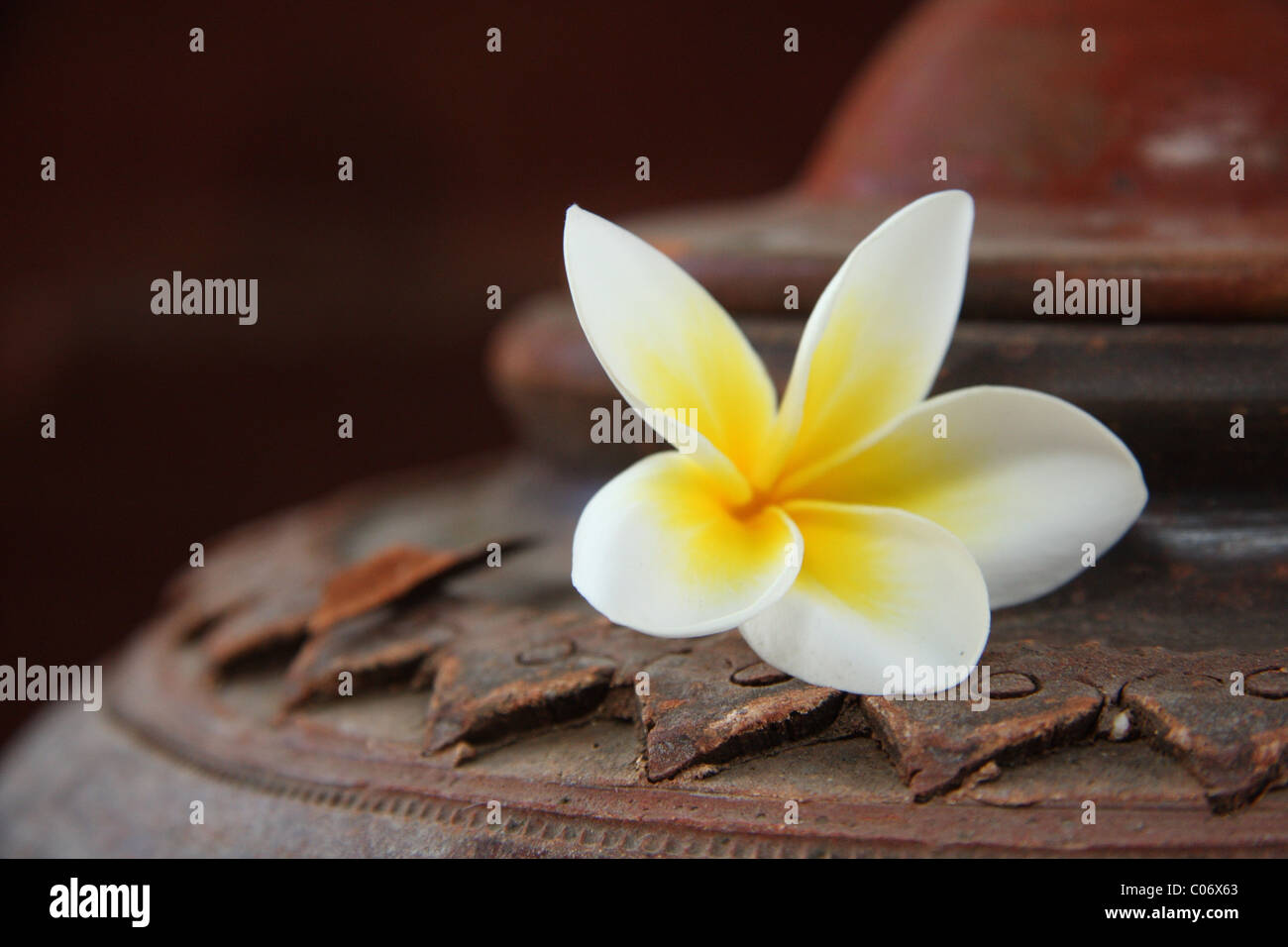 Flower and pottery in a temple Stock Photo - Alamy